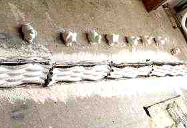 1991 - 1993 - Xavier Ribot